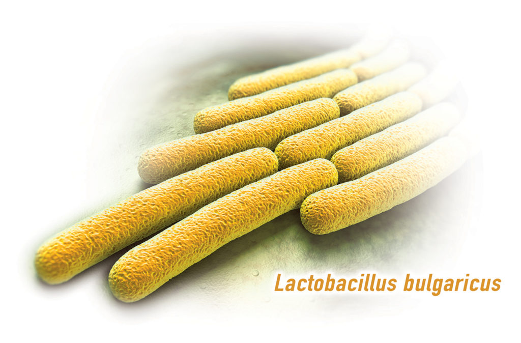 THE NATREN DIFFERENCE | Natren Canada